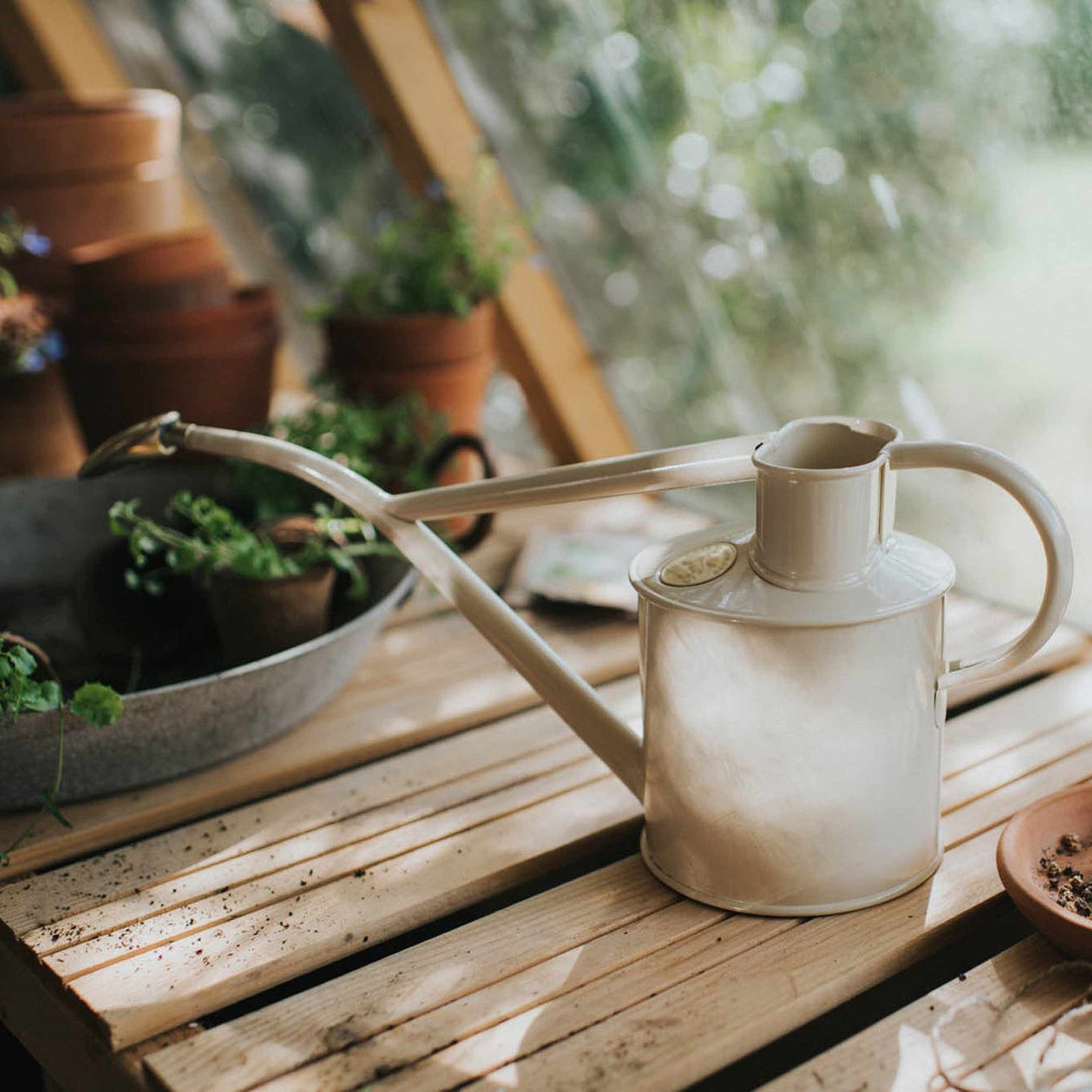 Haws England 1 Liter Metal Watering Can in Ivory – Gardenheir