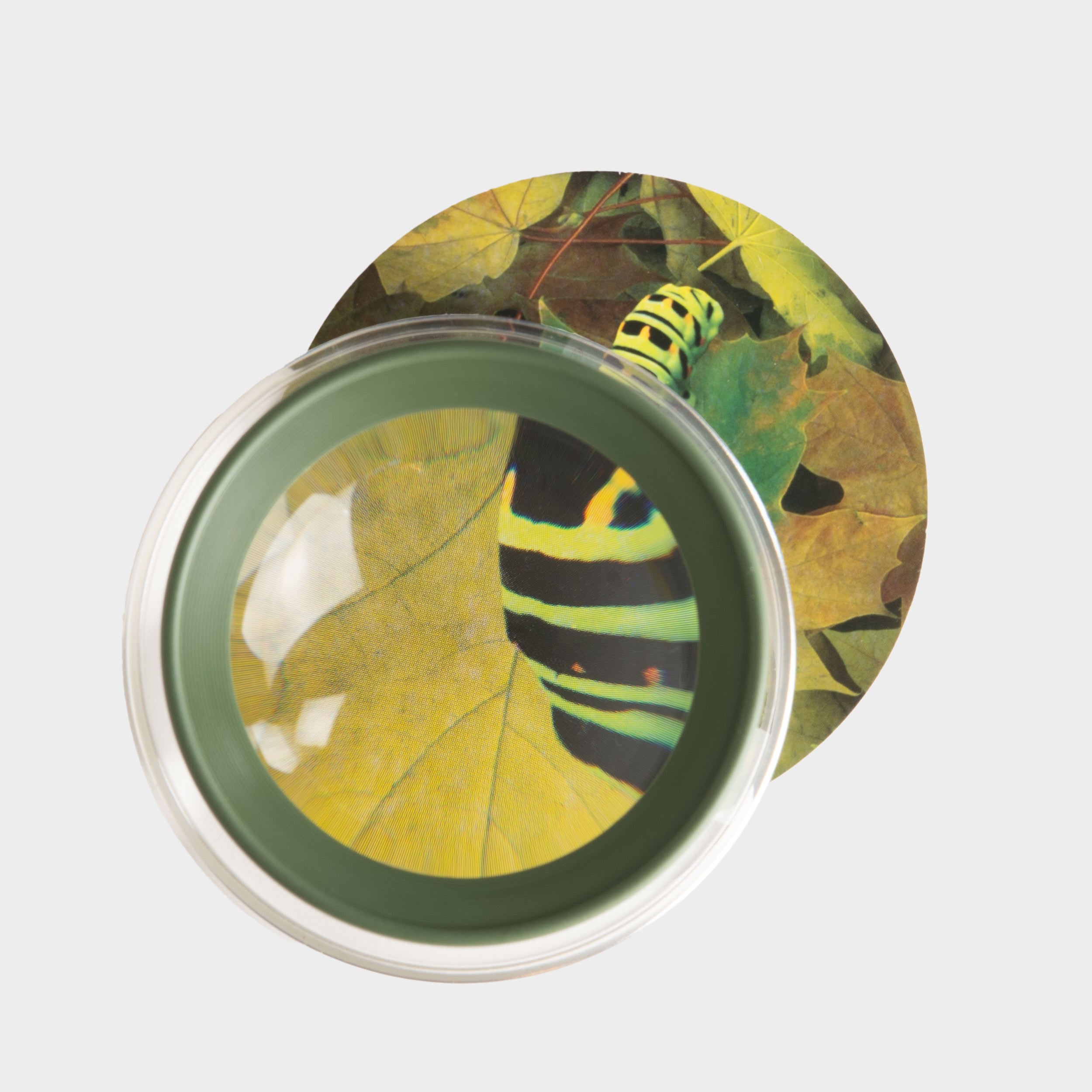Pre-Focused Stand Magnifier Loupe For Kids – Gardenheir