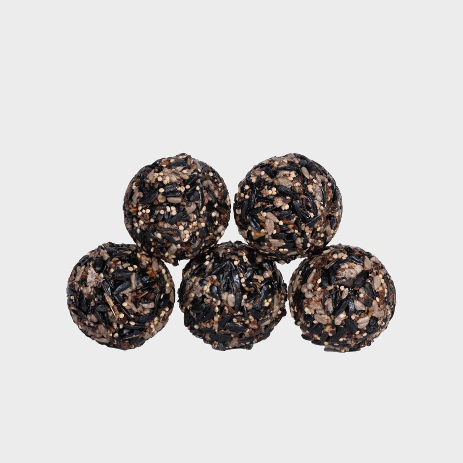 Birding – Gardenheir