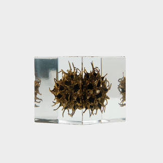 Japanese Botanical Paperweights – Gardenheir