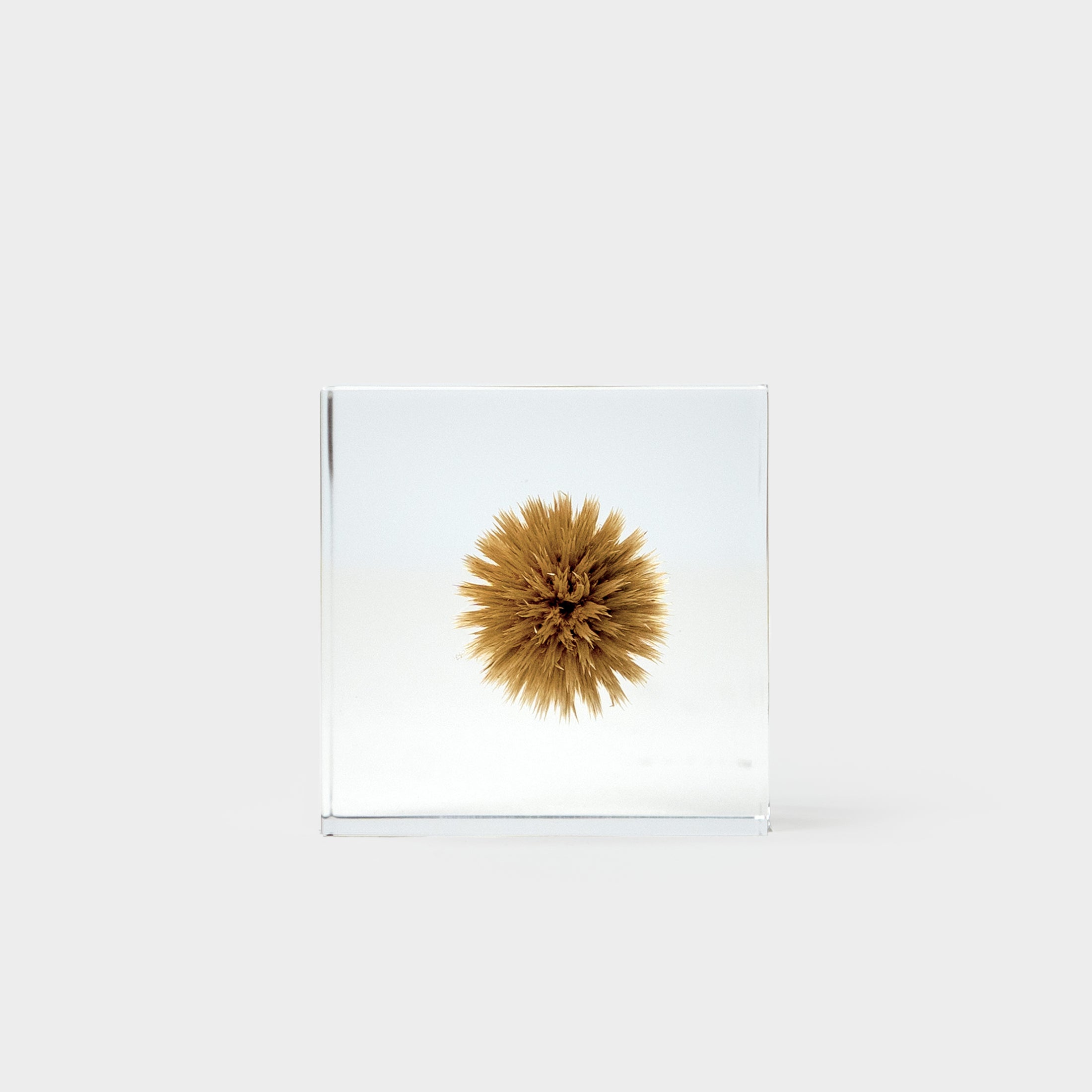 Japanese Botanical Paperweights – Gardenheir