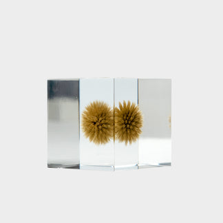 Japanese Botanical Paperweights – Gardenheir