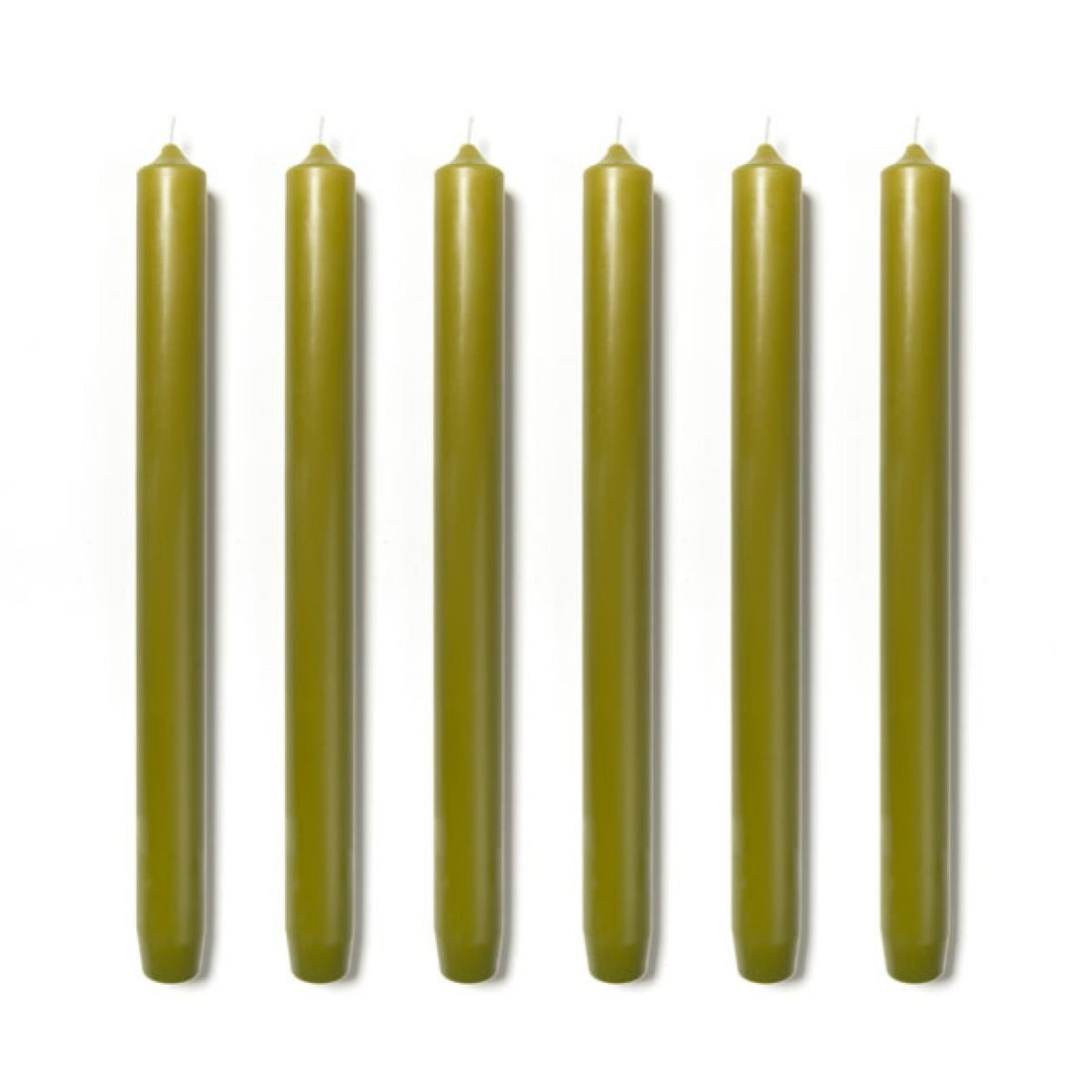Set of 6 Trudon 8" Madeleine Taper Candles in Khaki Green – Gardenheir