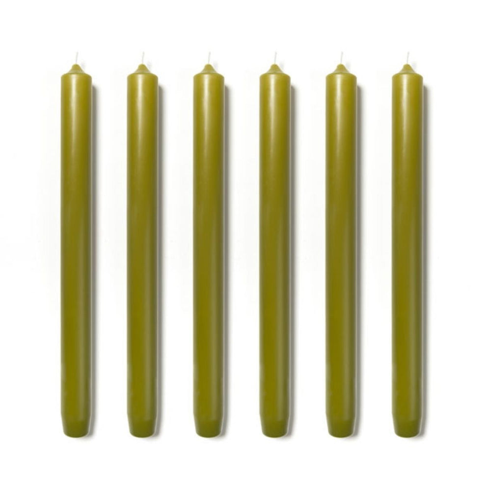 Set of 6 Trudon 8" Madeleine Taper Candles in Khaki Green – Gardenheir