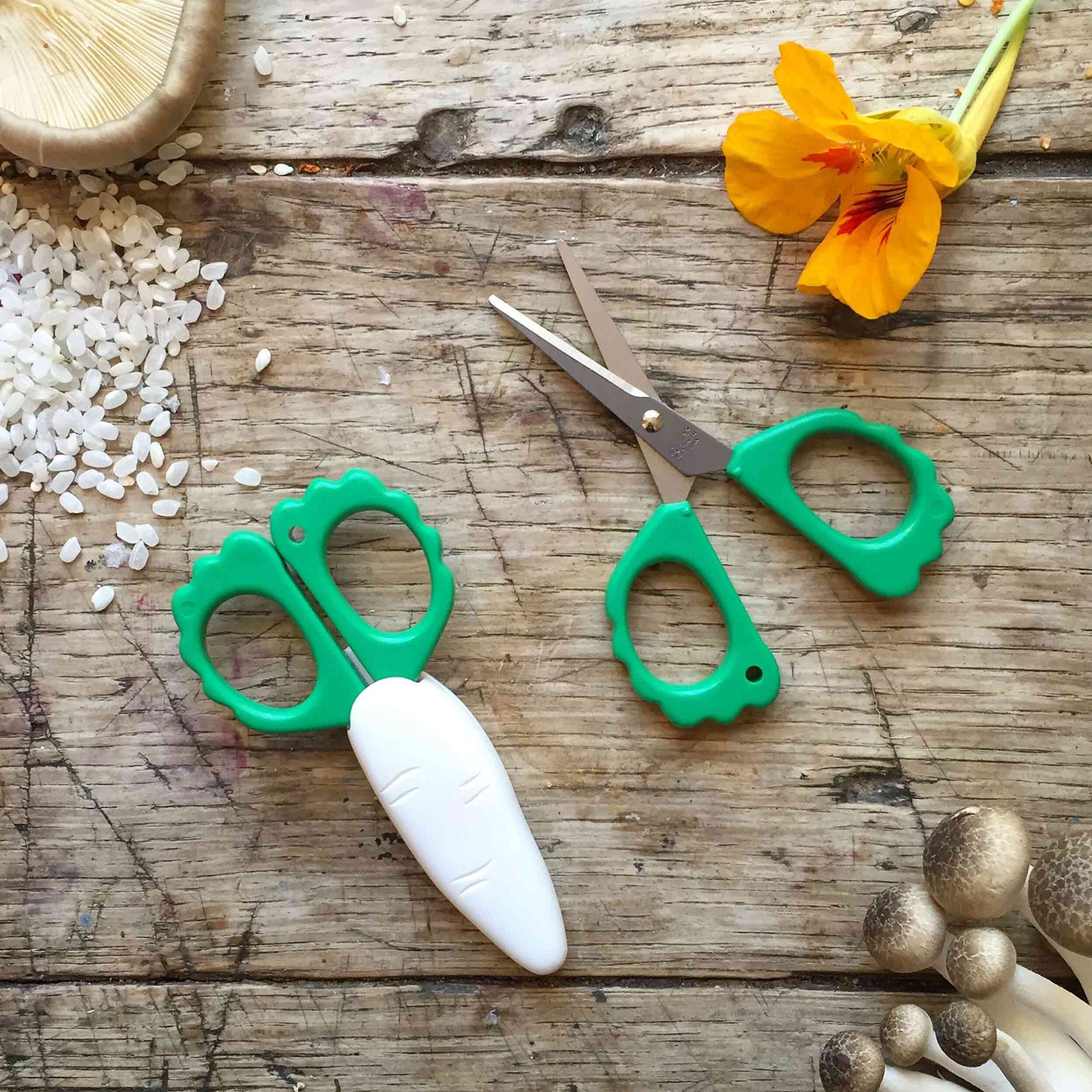 Fridge Magnet Scissors – Gardenheir