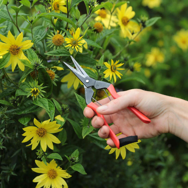 Niwaki Garden Snips – Gardenheir