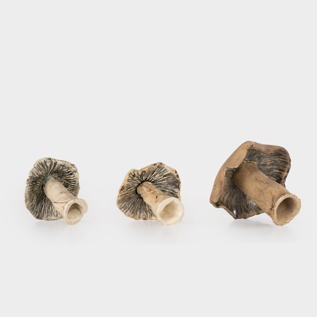 Heirloom & Foraged Objects – Gardenheir