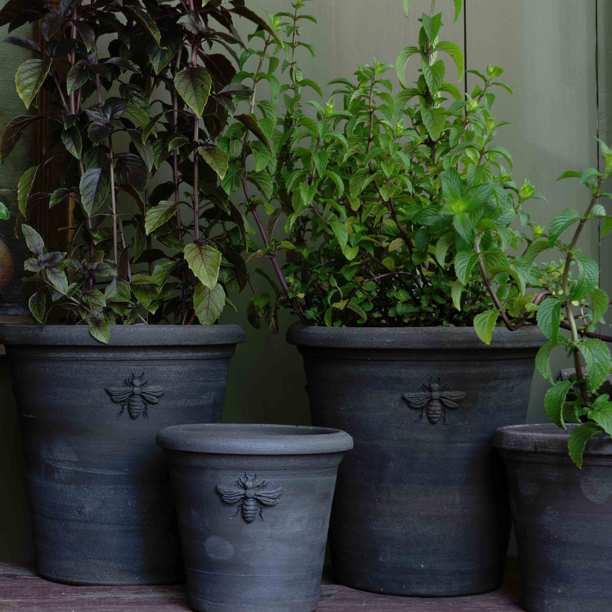 (Waitlist) Gardenheir X Seibert & Rice Terra Cotta Bee Pot in Black